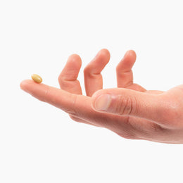 Systemic Enzymes | Vegetarian Enzyme | World Nutrition